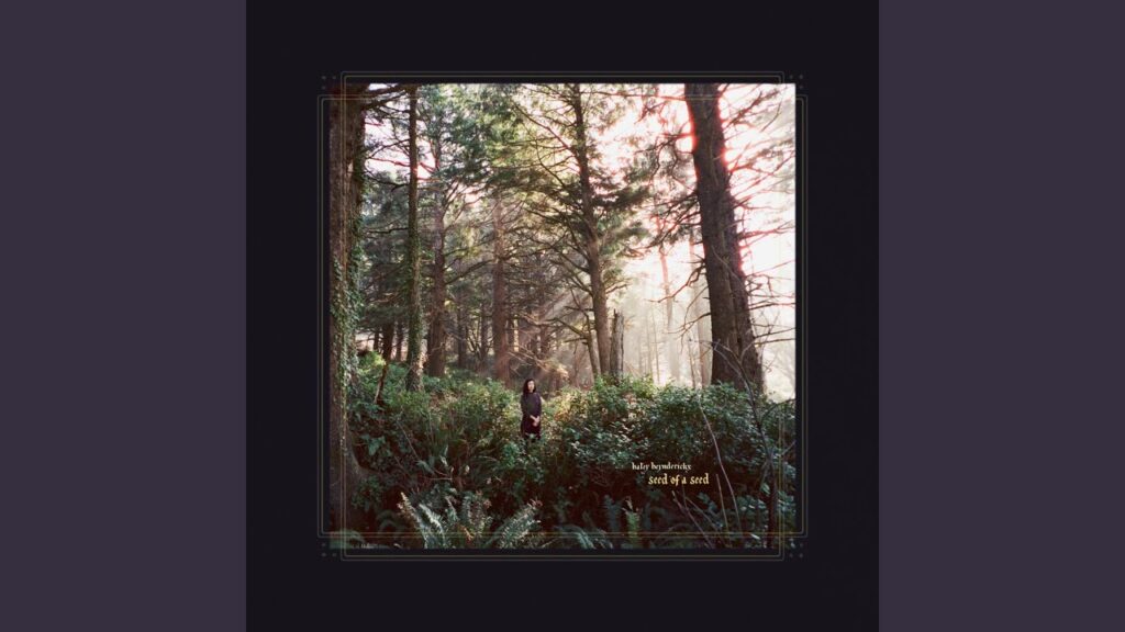 【歌詞和訳】Haley Heynderickx – Jerry’s Song | ToyLyrics